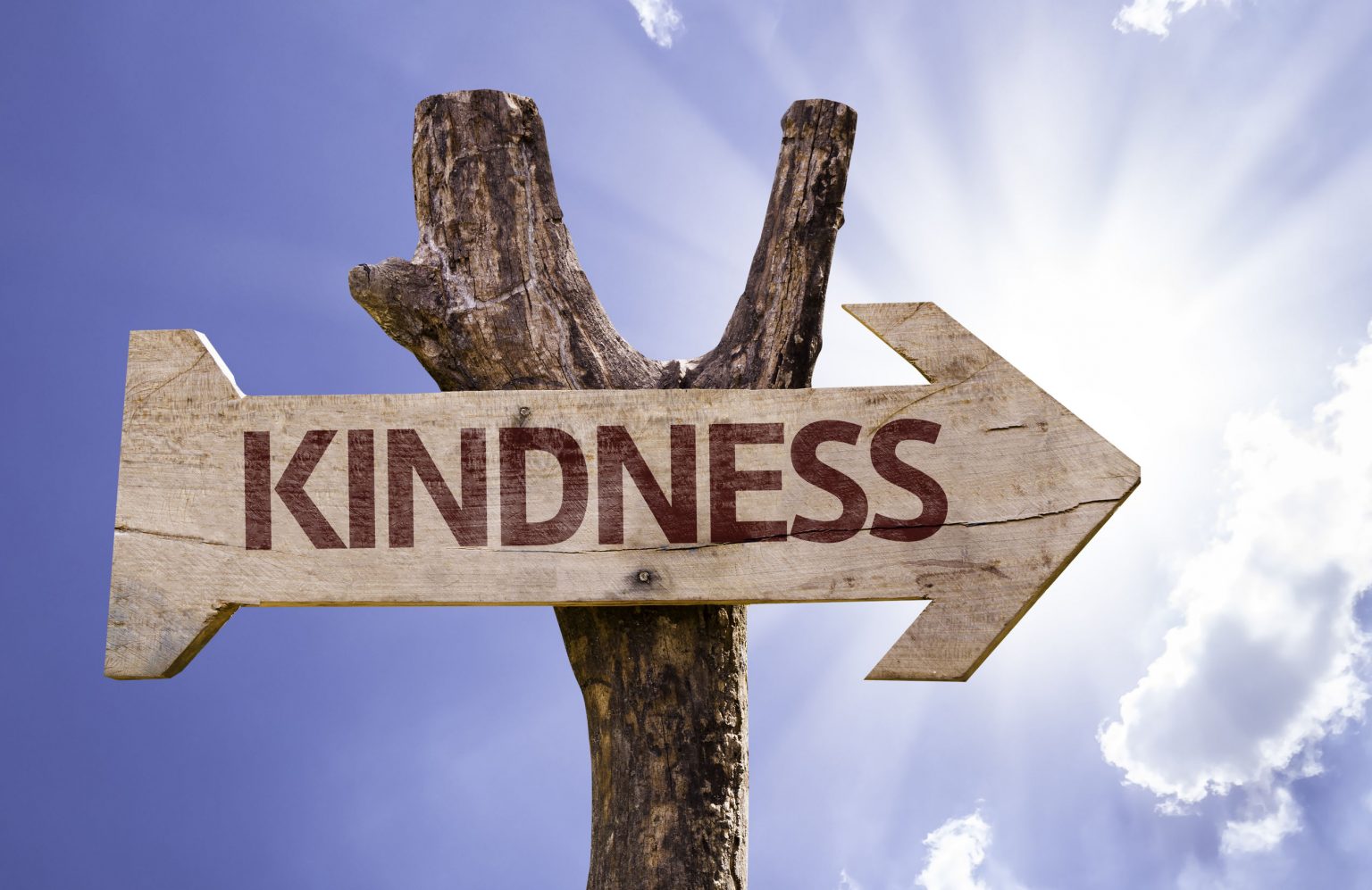 Make kindness your top KPI for 2021 - PR Daily